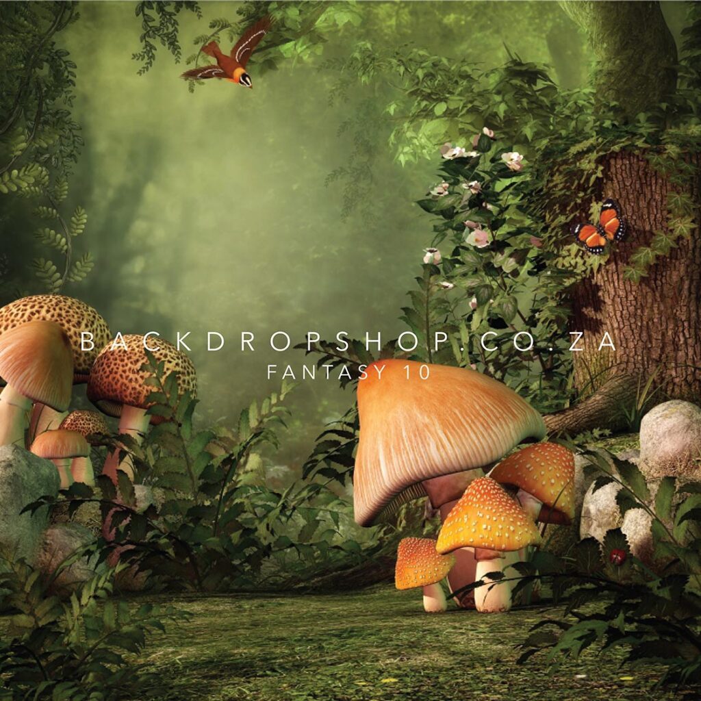 FANTASY 10 BACKDROP – Backdrop Shop