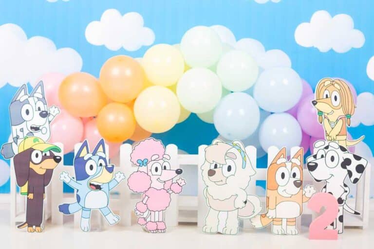 Bluey and Friends Backdrop – Backdrop Shop
