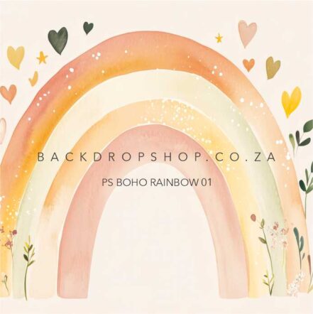 Rainbows – Backdrop Shop